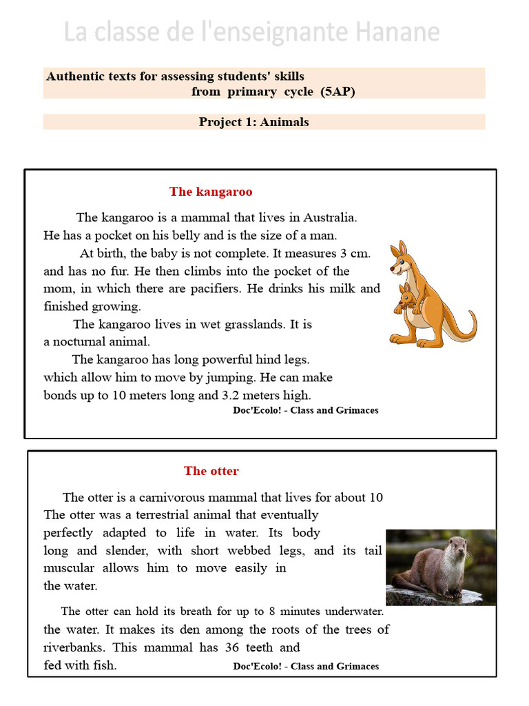 Authentic Texts The Animals | PDF | Mammals | Otter