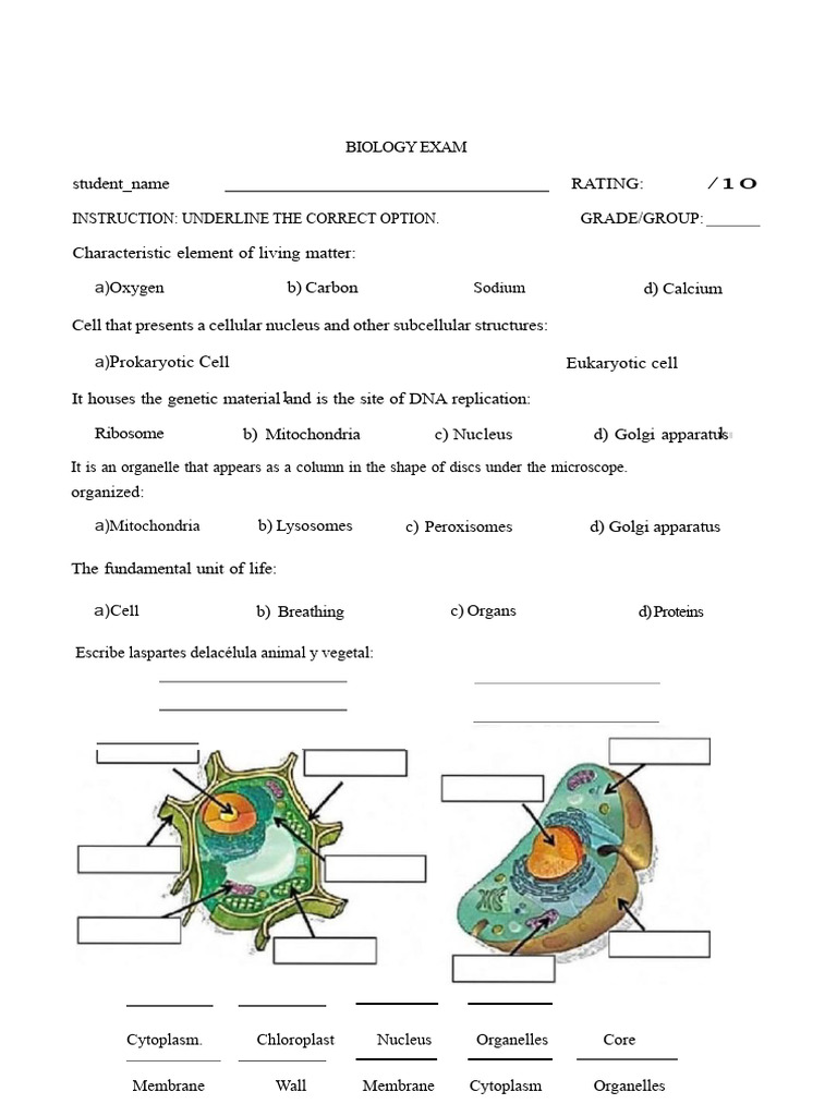Biology Exam: Cell Structure Basics | PDF | Cell (Biology) | Organelle