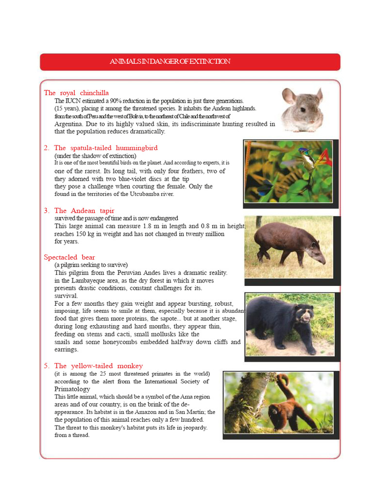 Endangered Animals | PDF | Andes | Endangered Species