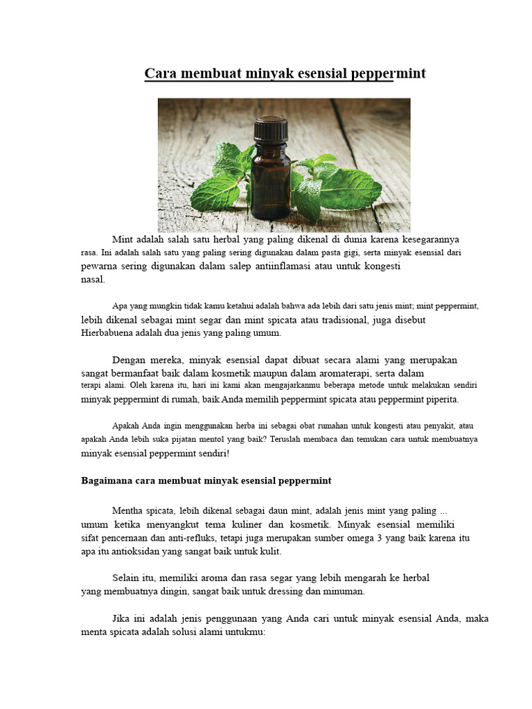Cara Membuat Minyak Esensial Peppermint | PDF