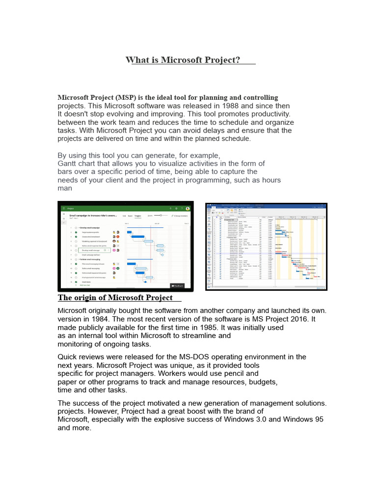 What Is Microsoft Project? | PDF | Project Management | Computing