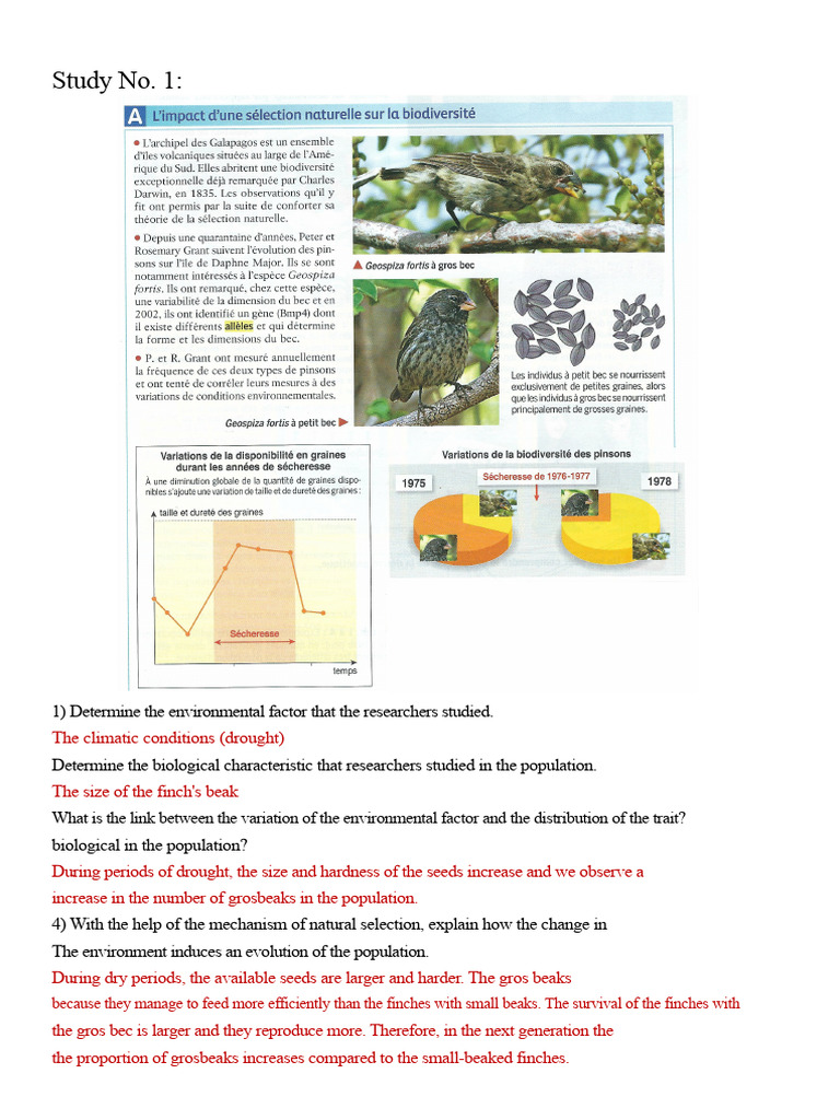 Natural Selection - Case Study - Corrected | PDF