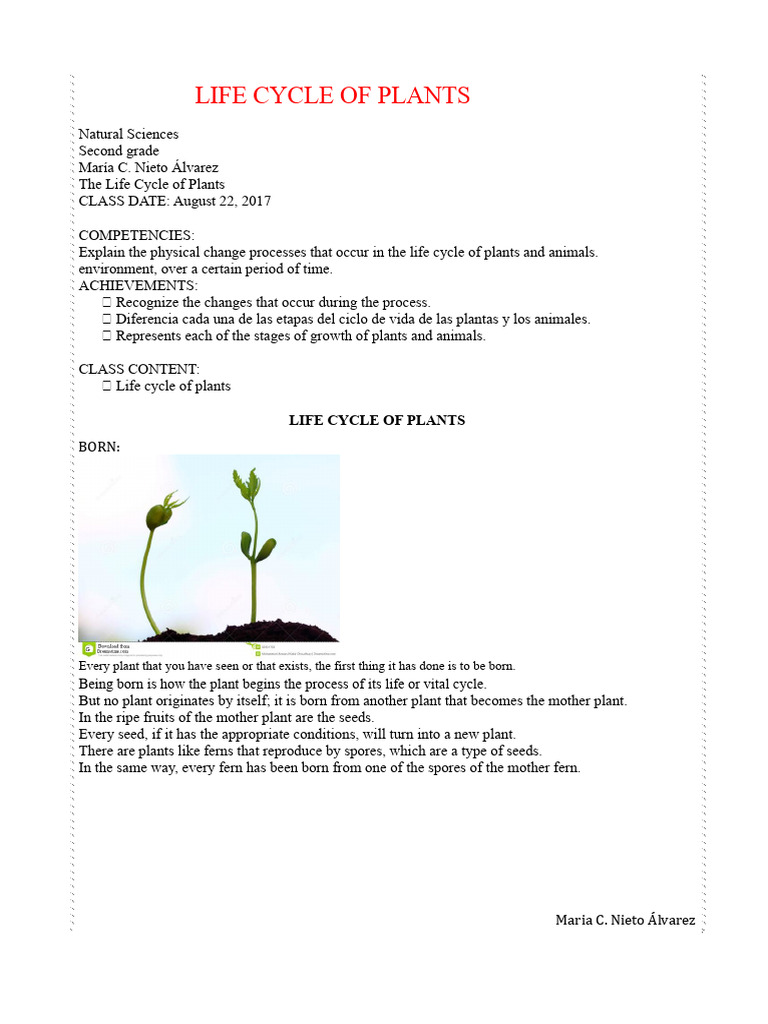 Life Cycle of Plants Natural Science | PDF | Plants | Seed