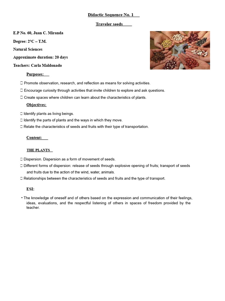 Didactic Sequence No. 1 | PDF | Seed | Plants