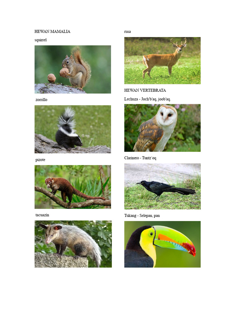 Ragam Hewan Mamalia dan Vertebrata | PDF