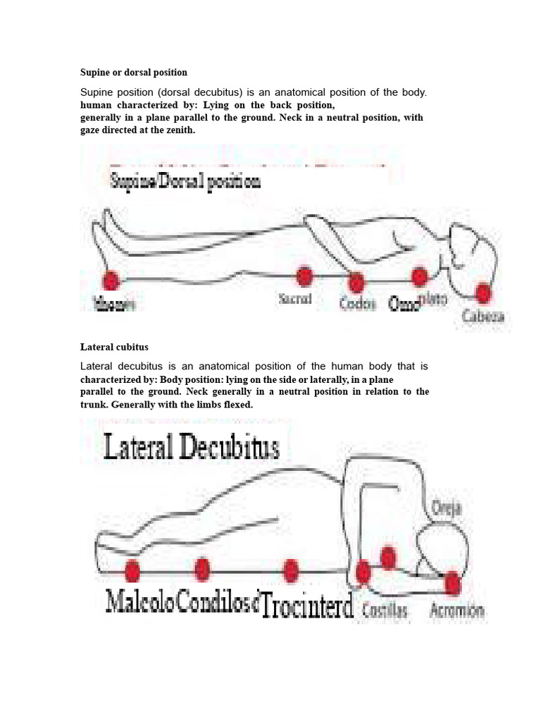 Supine or Dorsal | PDF | Anatomical Terms Of Motion | Musculoskeletal ...