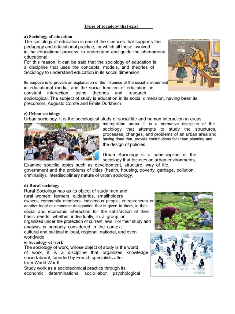 Overview of Sociology Types | PDF | Sociology | Society
