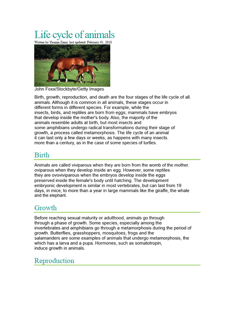 Animal Life Cycle Stages Explained | PDF | Reproduction | Egg