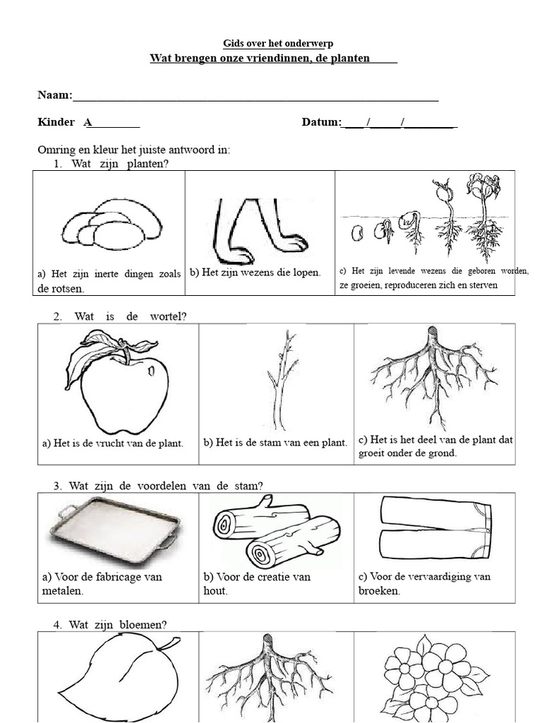 Gids Over de Nuttigheid Die Planten Ons Bieden Kinder | PDF