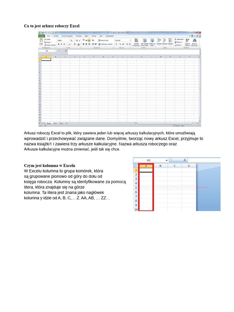 Co To Jest Arkusz Roboczy Excel | PDF