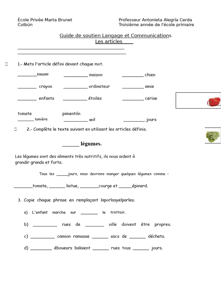 Articles Définis Et Indéfinis | PDF