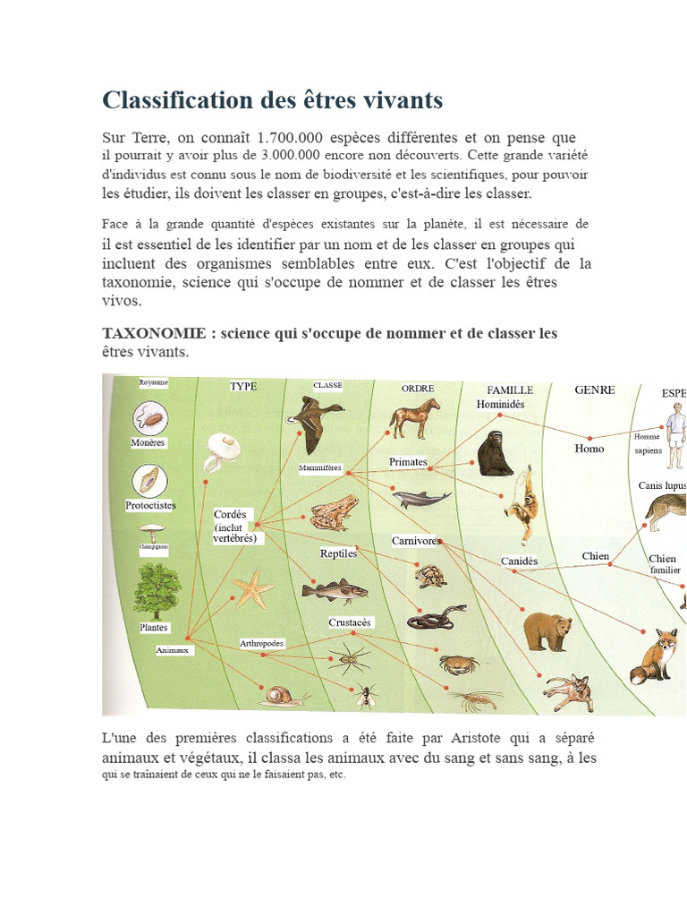 Classification des êtres vivants et taxonomie | PDF | Taxonomie ...