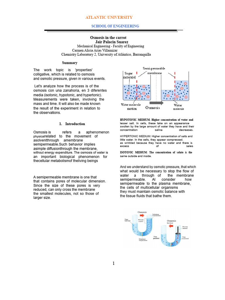 Osmosis Effects on Carrot in Solutions | PDF | Osmosis | Biology