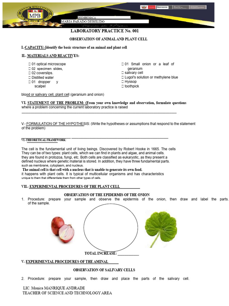 Animal and Plant Cell Lab Practice | PDF | Cell (Biology) | Cell Nucleus