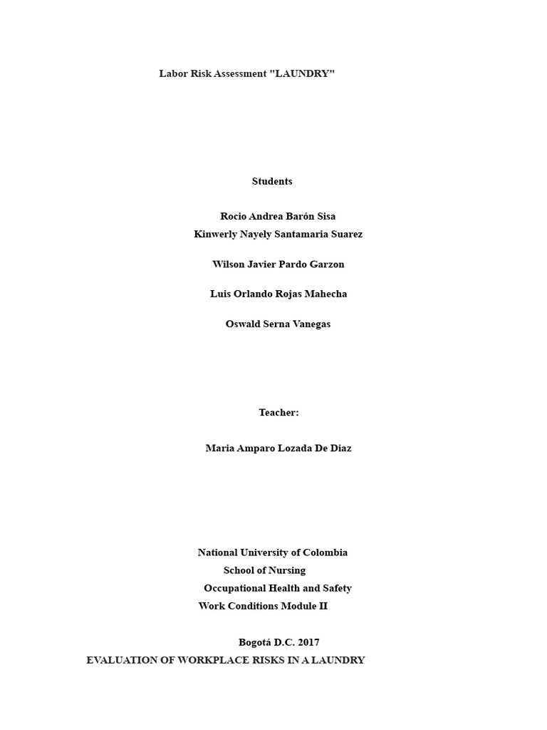 Workshop On Occupational Risk Assessment in Laundry | PDF | Risk ...