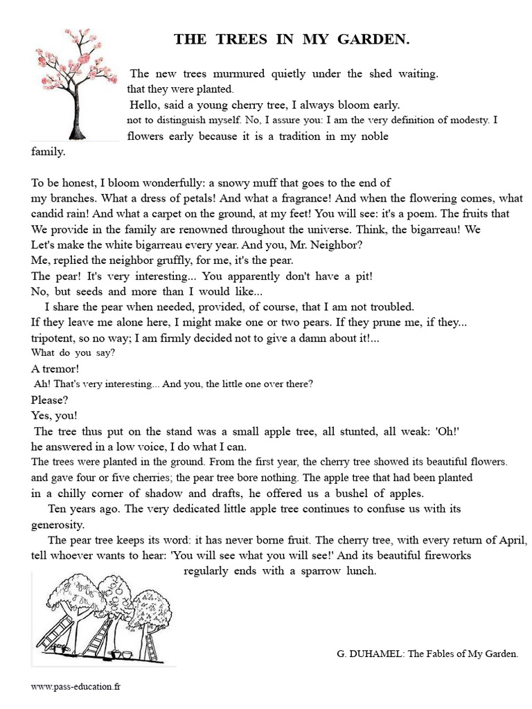 The Trees in My Garden - CE2 Story | PDF | Trees