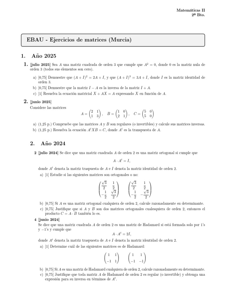 Ejercicios de Matrices EBAU 2025 | PDF | Matriz (Matemáticas ...