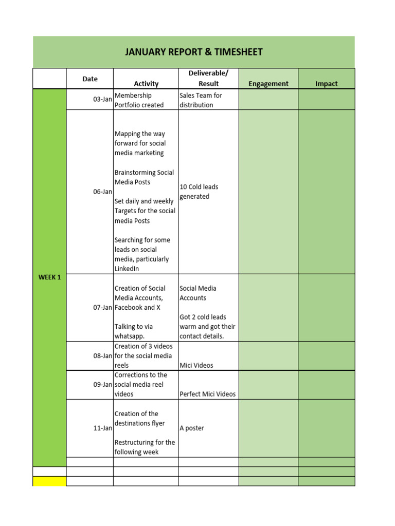 January Report and Timesheet-1 | PDF | Media Sharing | Online Services
