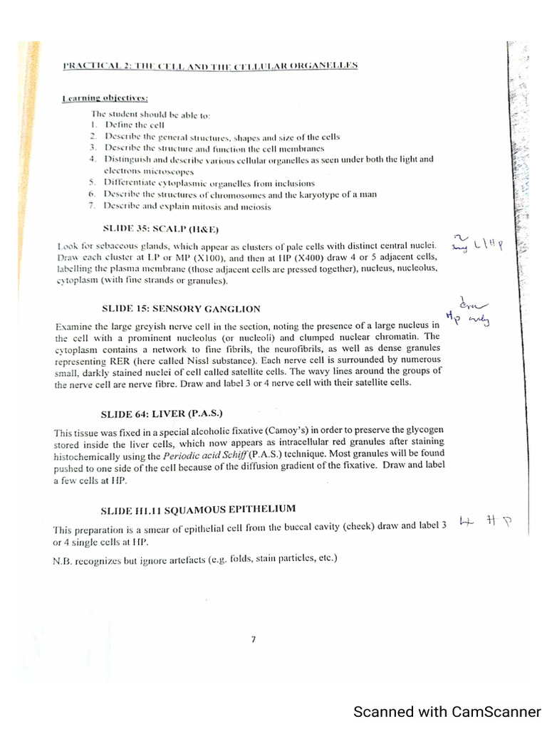Histology Lab Manual | PDF