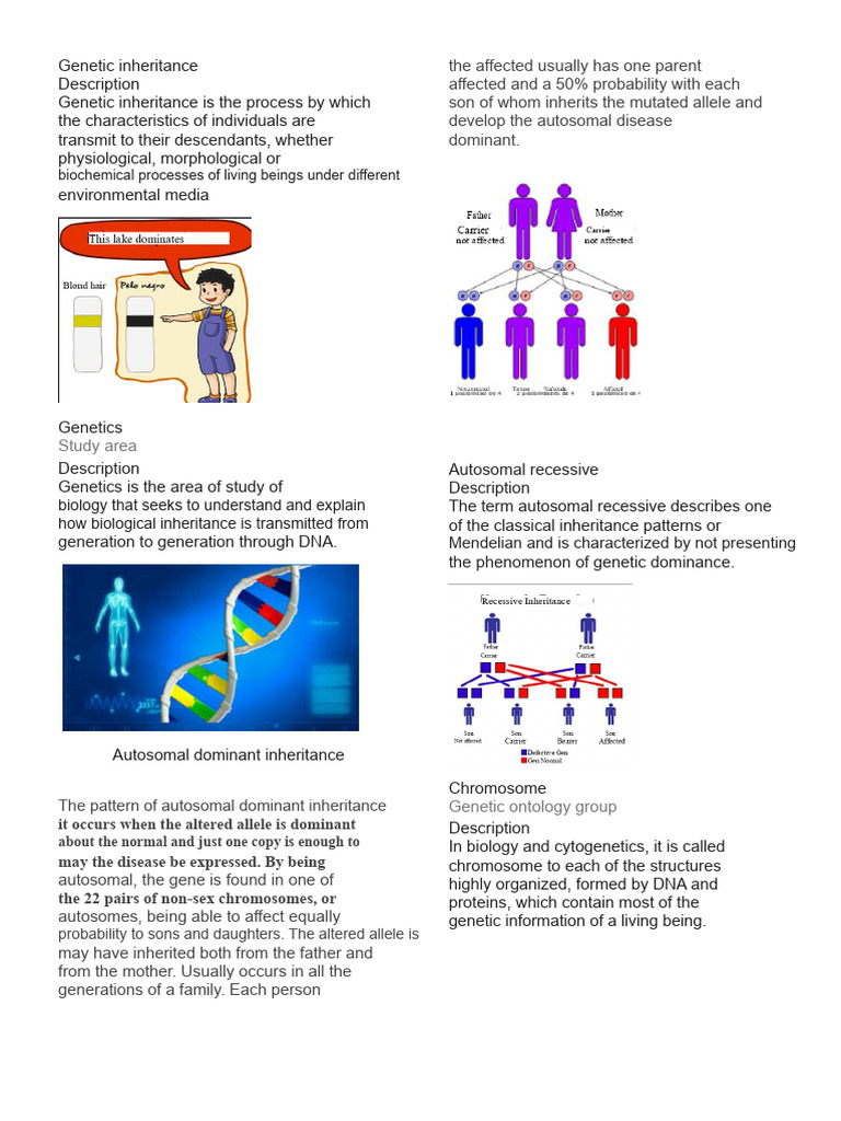 Genetic Inheritance | PDF | Genetics | Dominance (Genetics)