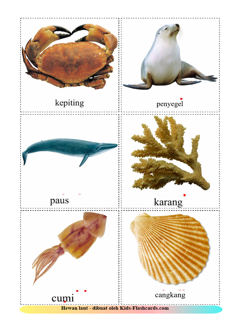 Flash Card Hewan Laut | PDF