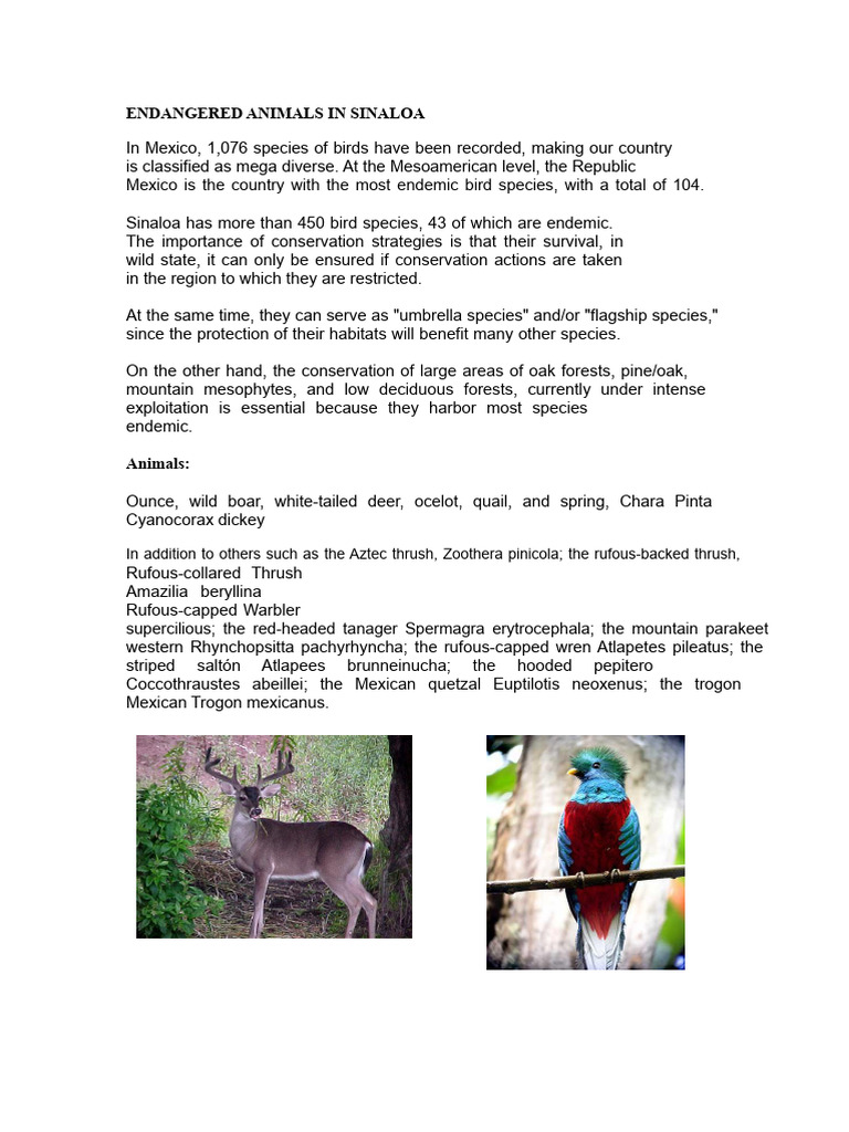 Endangered Animals in Sinaloa | PDF