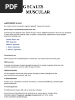 Manual Muscle Test Grading Guide | PDF | Diseases And Disorders ...