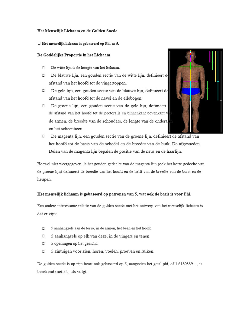 Het Menselijk Lichaam en de Gulden Snede | PDF