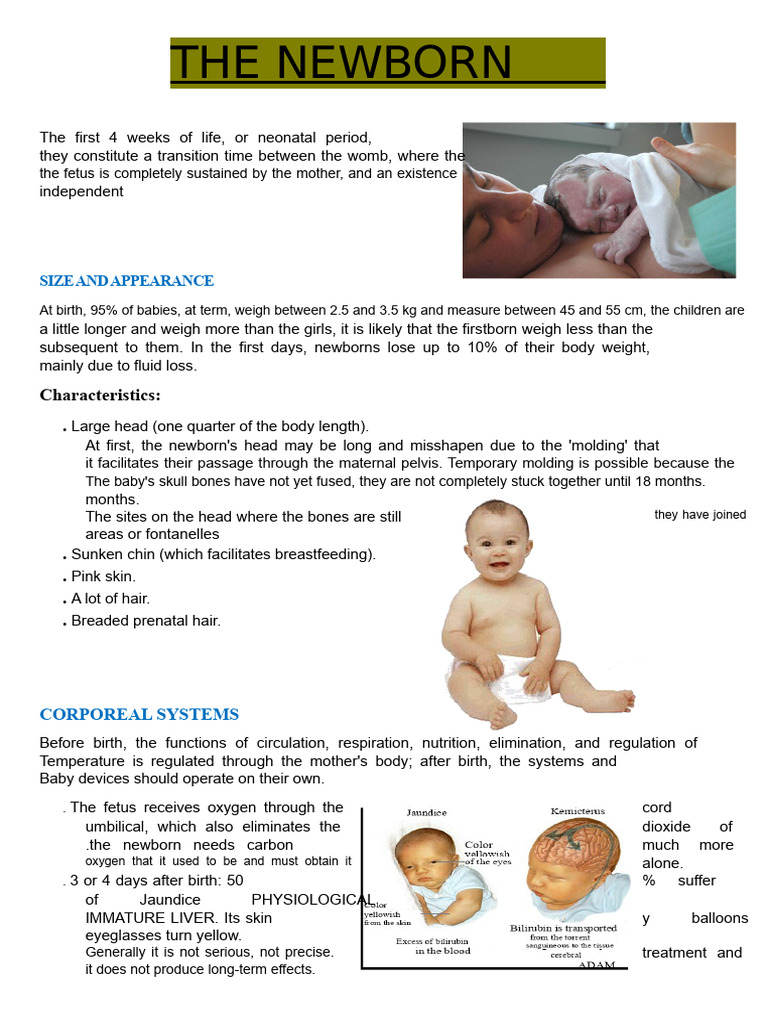 THE NEWBORN of Developmental Psychology | PDF | Aphasia | Language ...