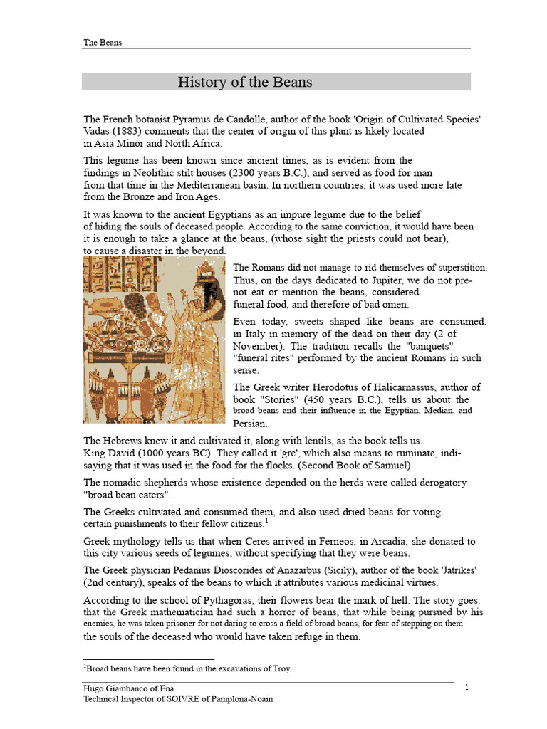 History of The Broad Beans | PDF | Foods