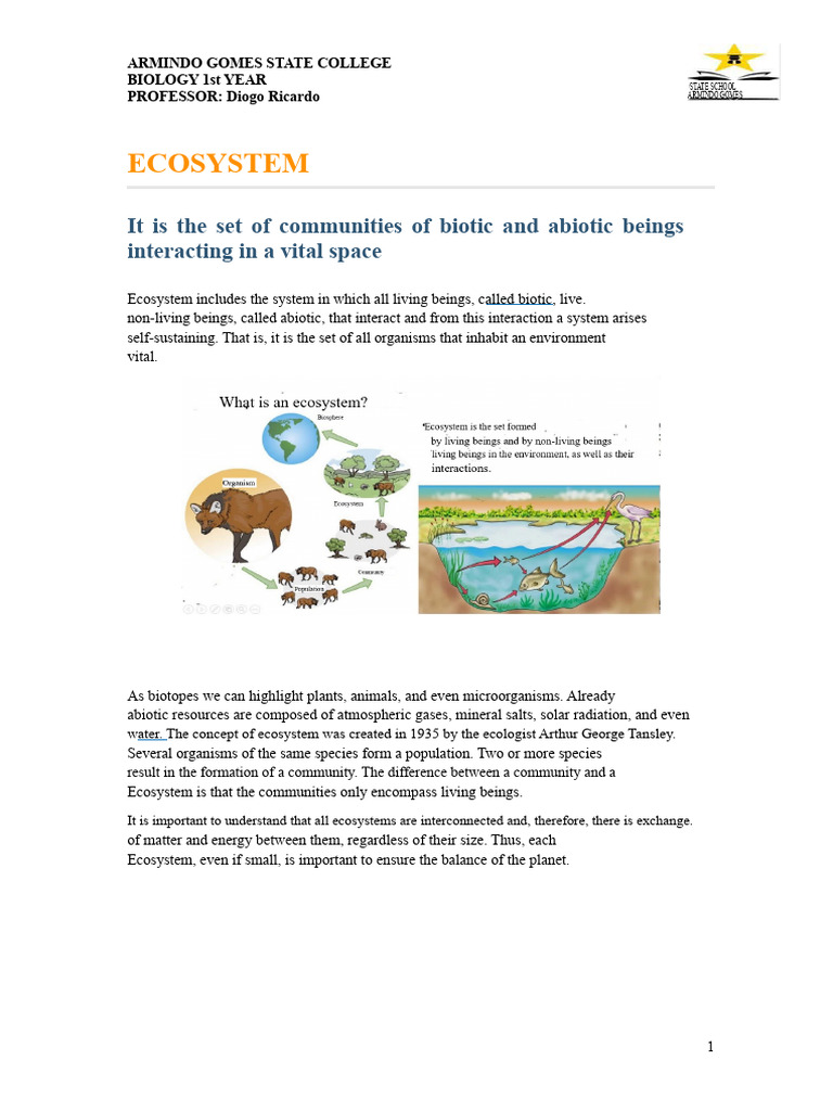 ECOSYSTEM 1st Year A and B High School | PDF | Ecosystem | Forests