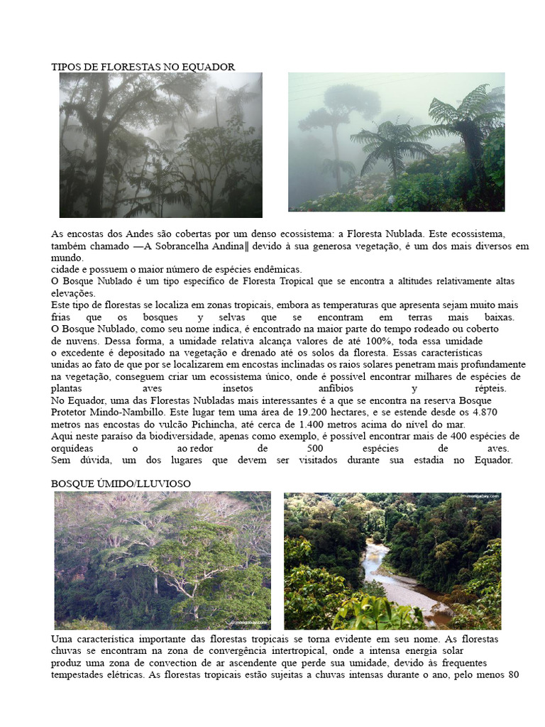 Tipos de Florestas No Equador | PDF | Florestas | Equador