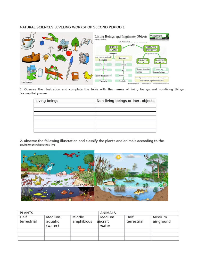 Natural Sciences Remedial Workshop Second | PDF | Habitat | Adaptation