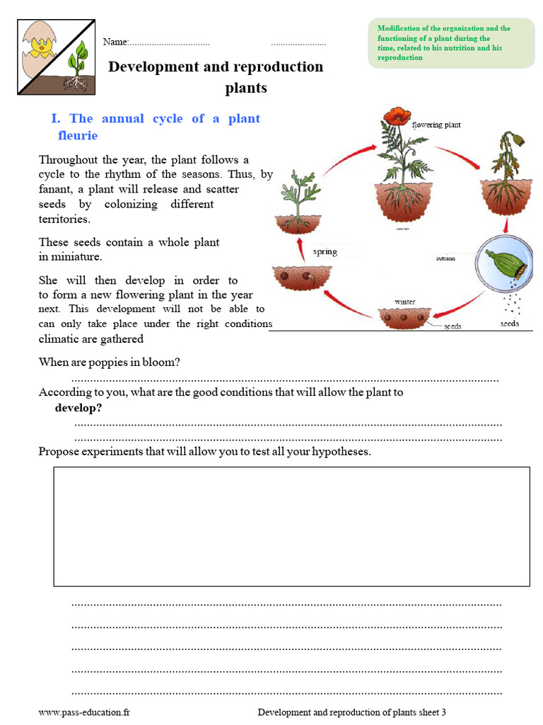 Development and Reproduction of Plants - 6th Grade Exercises | PDF ...