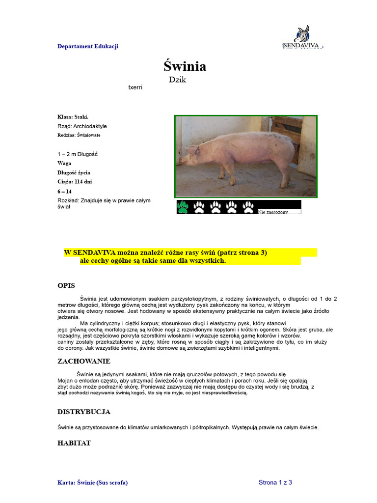 Karta ŚWINIE - Sus Scrofa | PDF