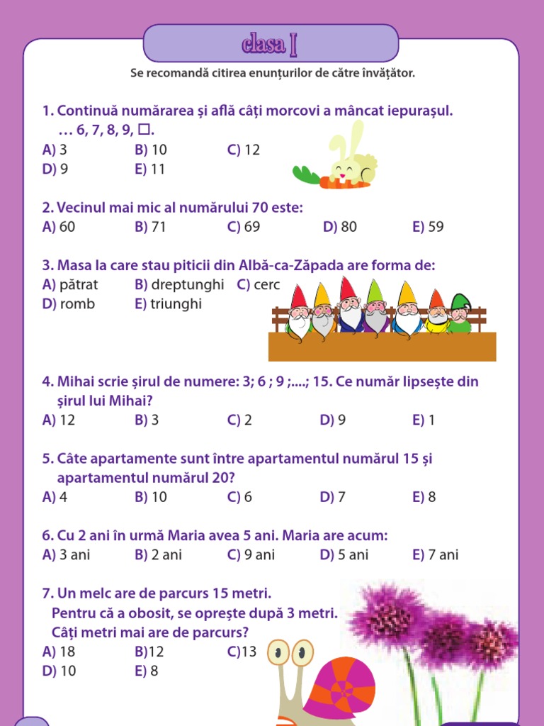 Matematica 11 Subiecte | PDF