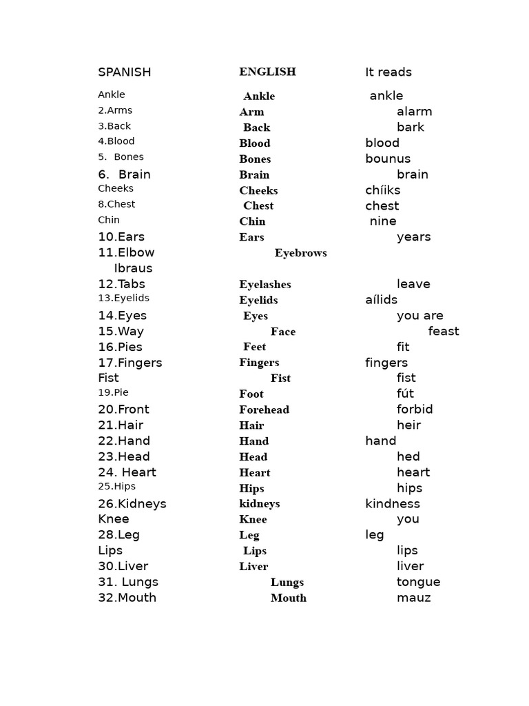 Parts of The Human Body in English and Spanish | PDF