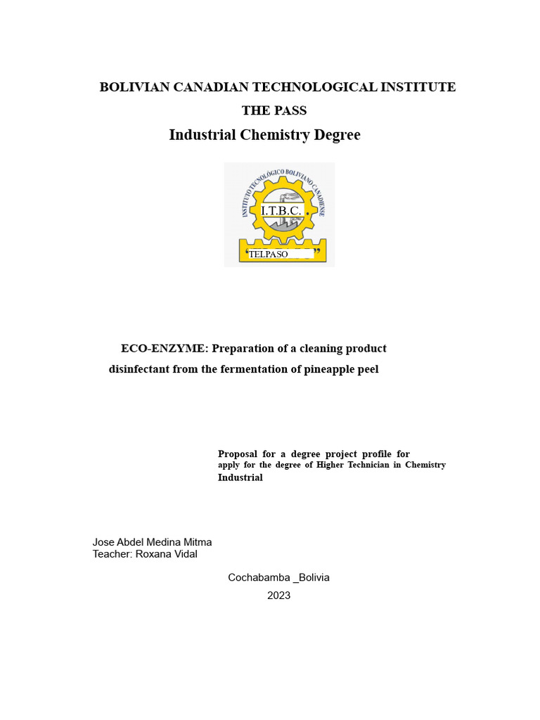 Pineapple 2 | PDF | Waste | Fermentation