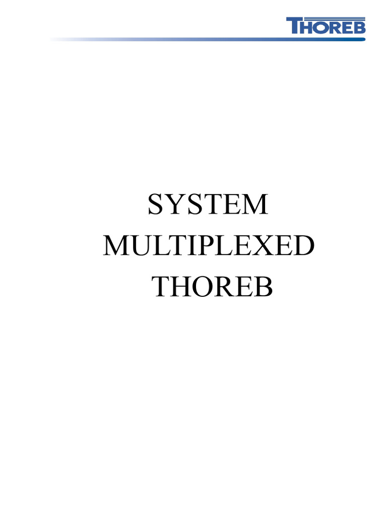 Thoreb Multiplexed System Overview | PDF | Multiplexing | Usb