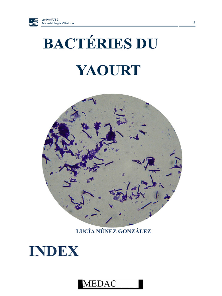 Bactéries Du Yaourt | PDF | Yaourt | Lactobacille