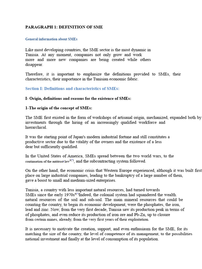 Understanding SMEs in Tunisia: Definitions & Importance | PDF | Poverty ...