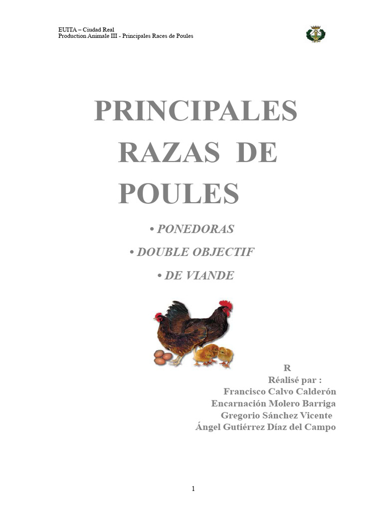 Principales Races de Poules et Usages | PDF | Poulet | Plume