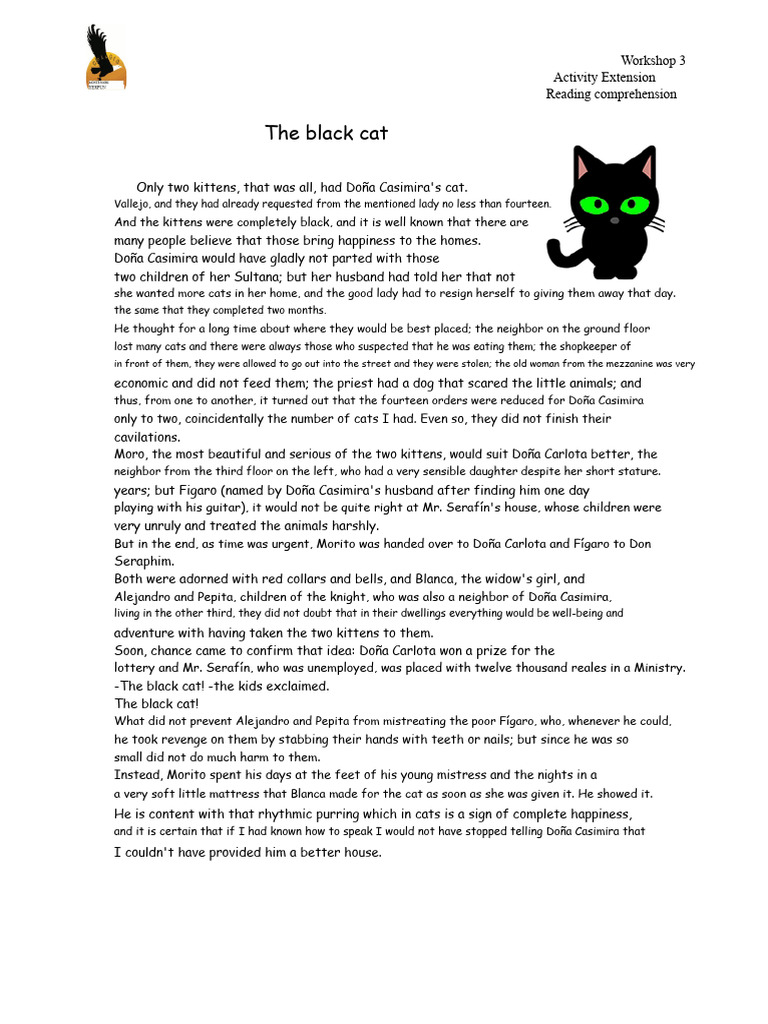 Black Cat Reading Comprehension Workshop | PDF