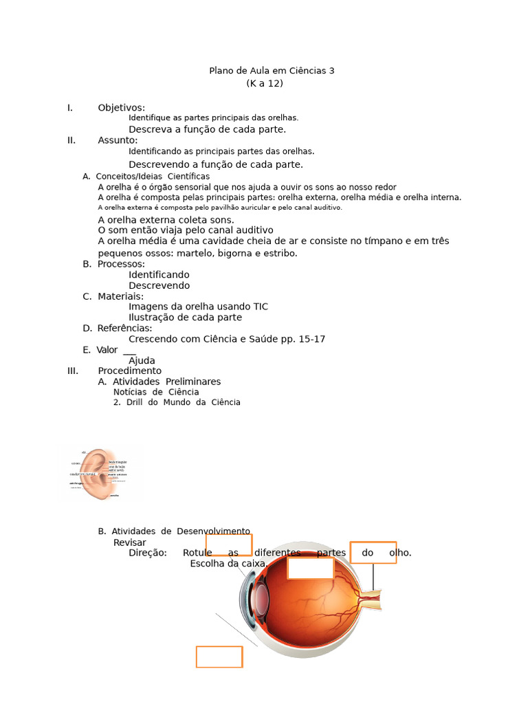 Partes e Funções da Orelha em Ciências | PDF | Orelha | Audição