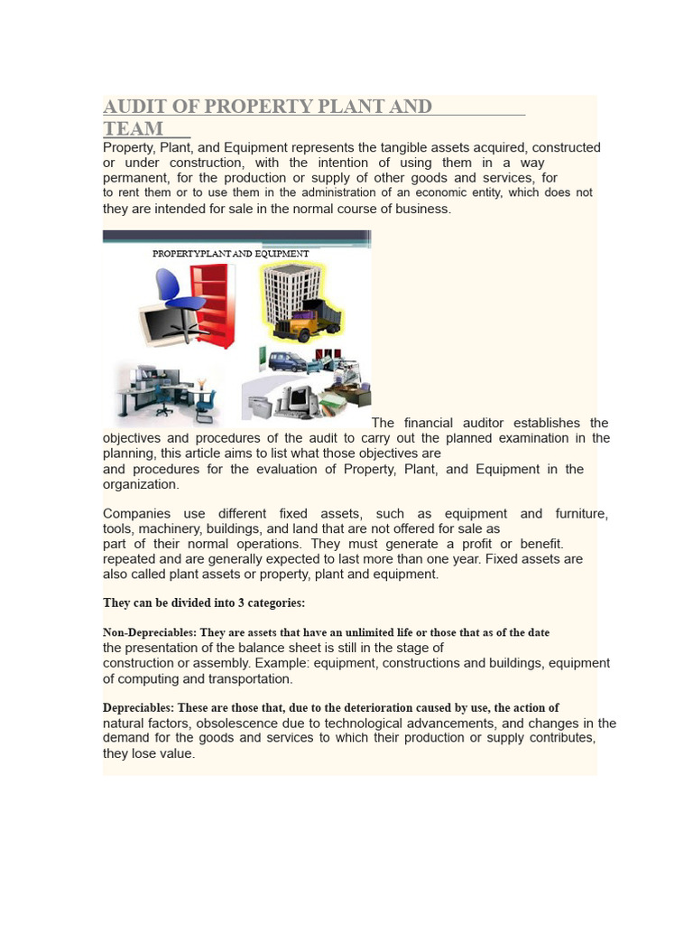 Audit of Property, Plant, and Equipment | PDF | Fixed Asset | Audit