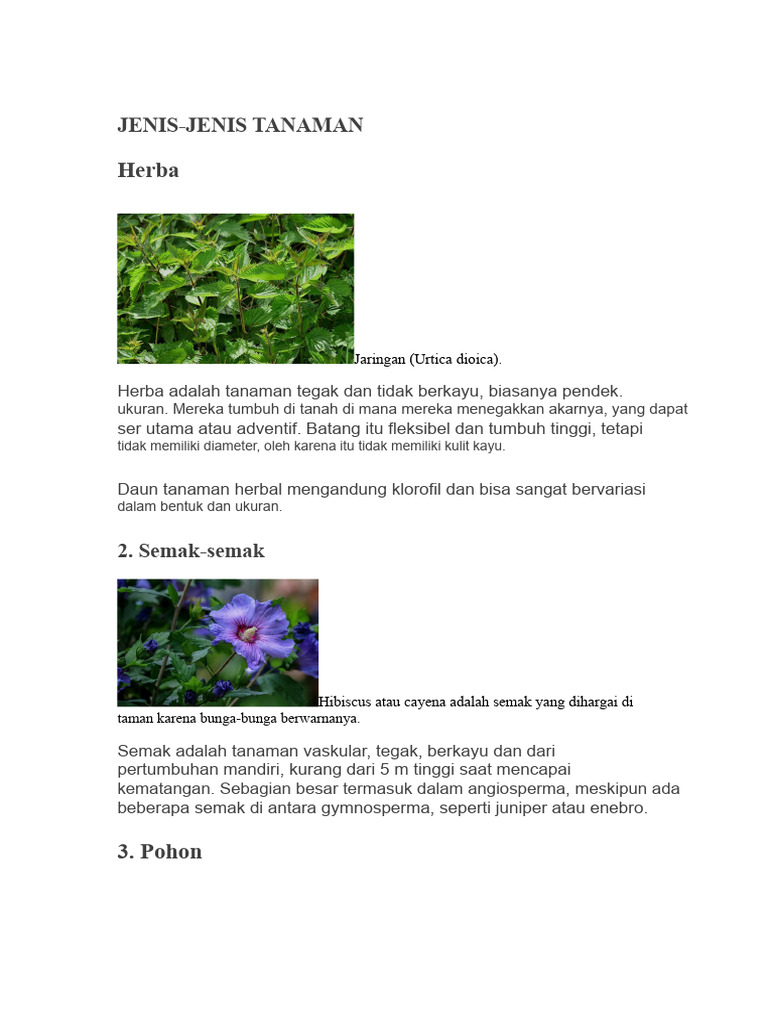 Jenis Tanaman | PDF