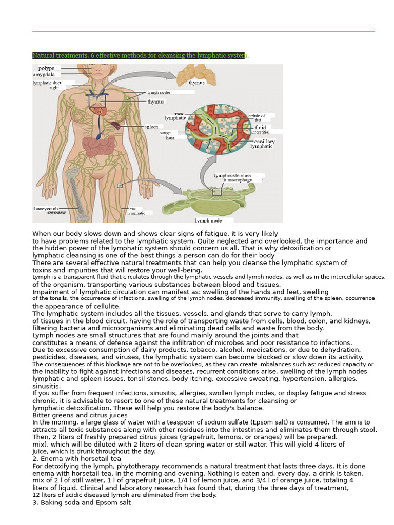 Natural Treatments For LYMPH | PDF | Lymphatic System | Lymph