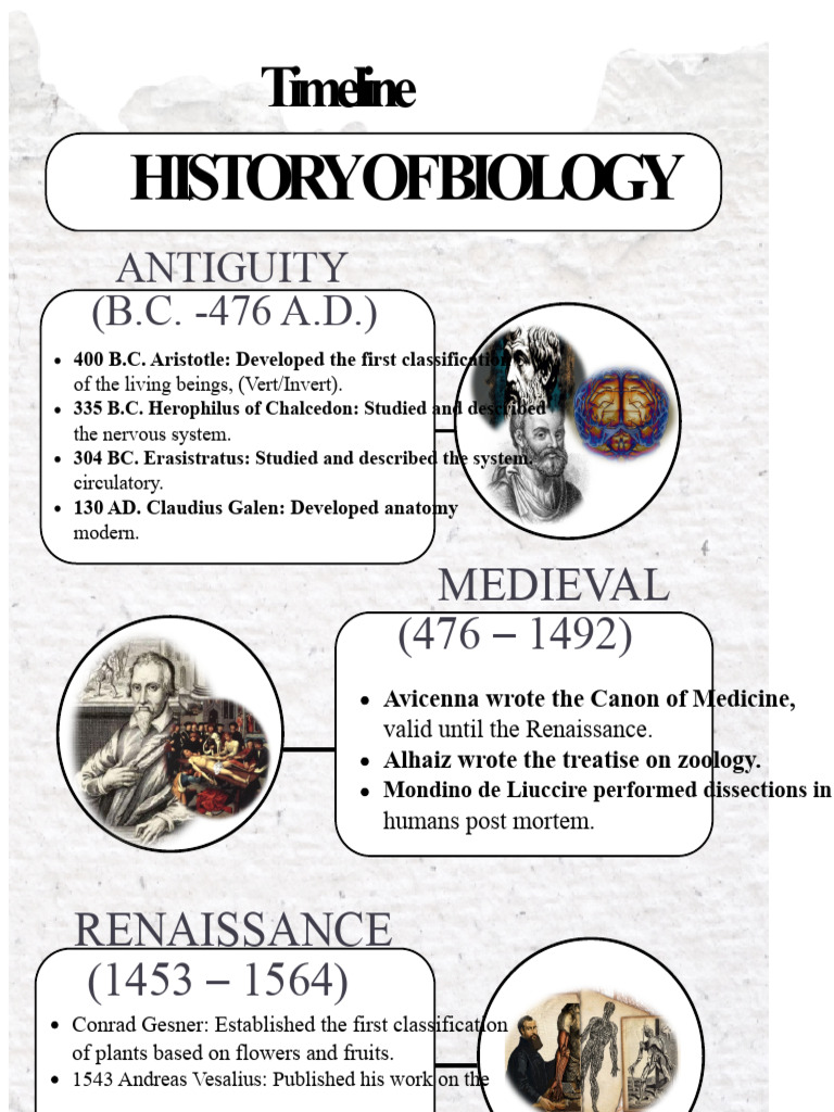 Timeline of Biology | PDF