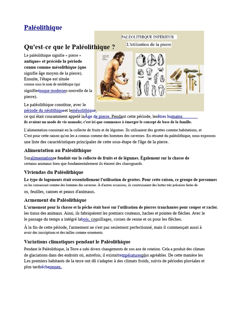 Comprendre le Paléolithique : caractéristiques clés | PDF | Néolithique ...