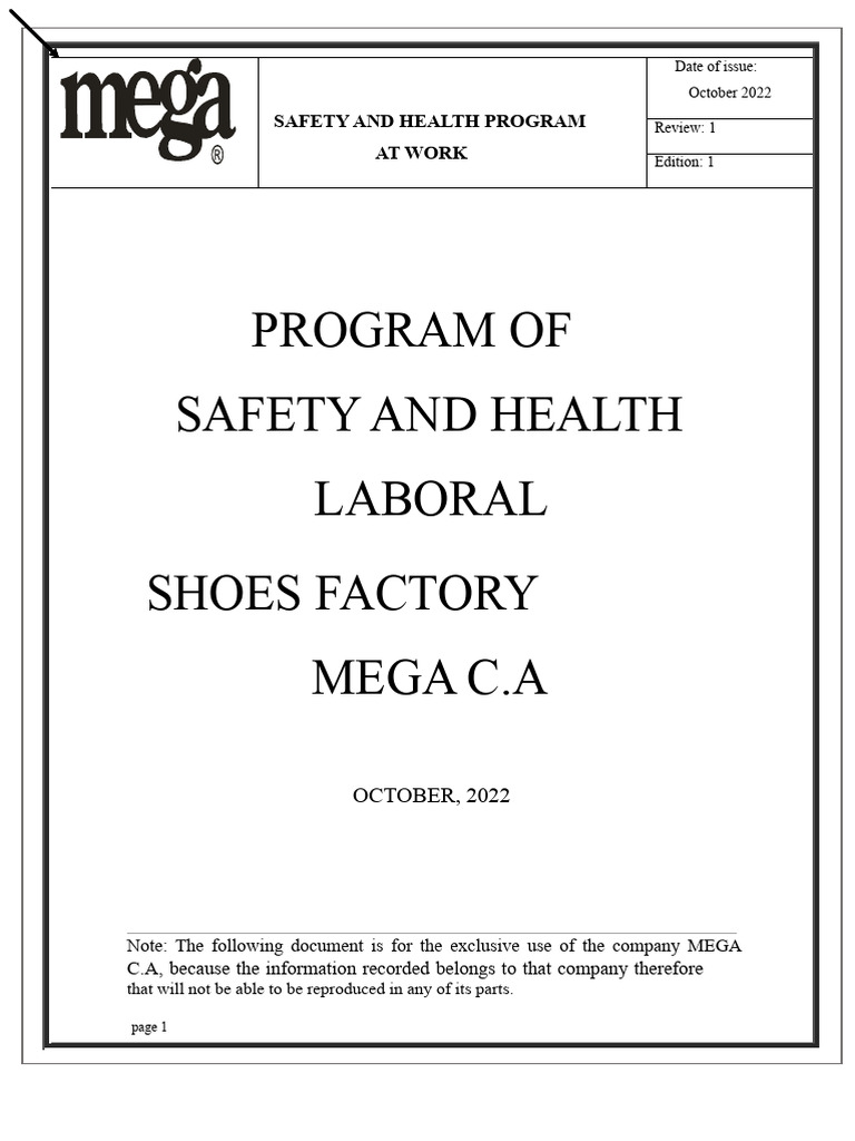 2 Gaby Occupational Health and Safety Program Mega Footwear | PDF ...